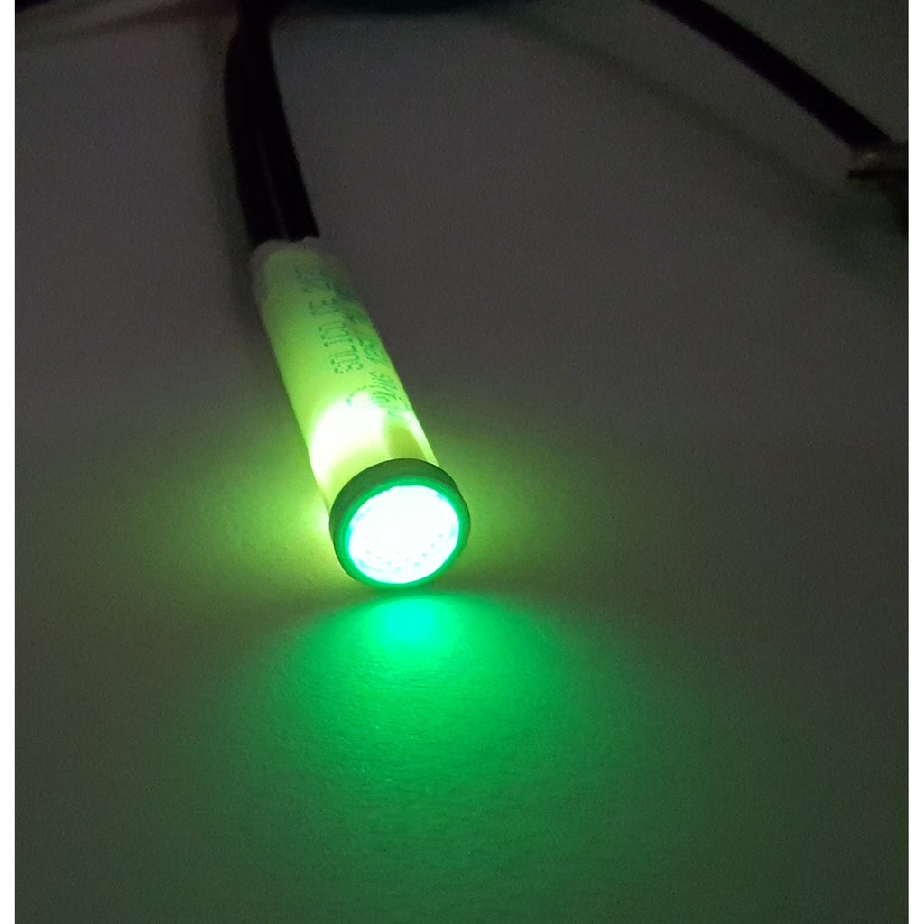 Green Neon Indicator Lamp with 6" Leads